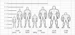 Character Height/Weight Visualizer? | EN World | Dungeons & Dragons ...