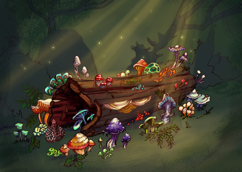 D&D 5E (2014) - EN5ider #521 - Enchanted Trinkets: Treasured Toadstools ...