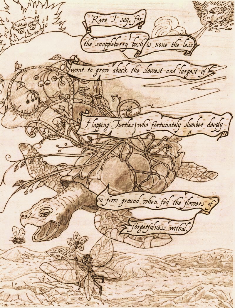 17 Flapping Turtle script edit resize.JPG | EN World D&D & Tabletop RPG ...