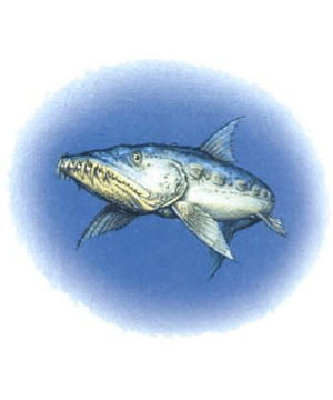 fishasca.gif | EN World D&D & Tabletop RPG News & Reviews