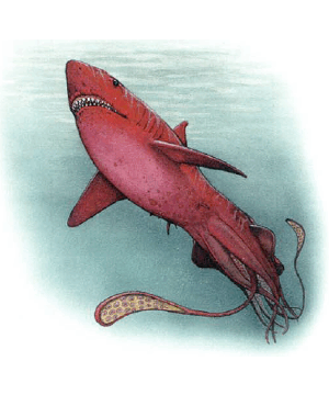 squark.gif | EN World D&D & Tabletop RPG News & Reviews